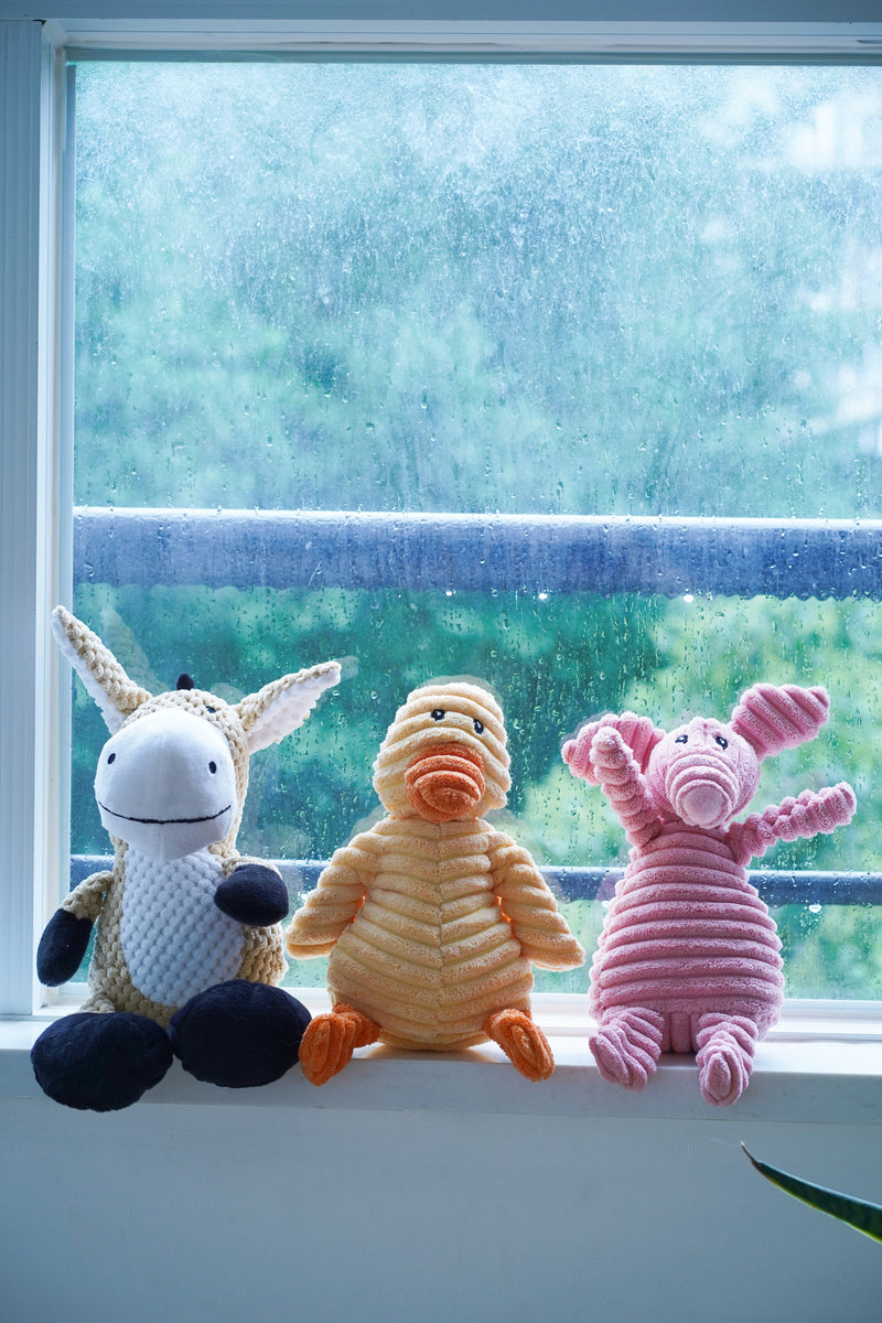 Jimmy the Sweet Donkey – SOPAWME